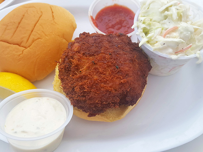 The crab cake sandwich&mdash;where Maryland tradition meets Virginia hospitality. This golden-brown masterpiece has more crab than filler, the way the seafood gods intended.