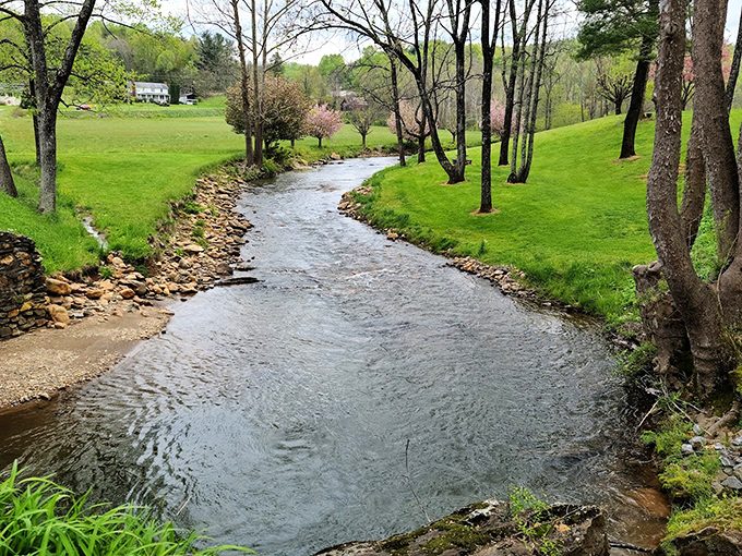 Jack's Creek itself meanders through the landscape with the unhurried confidence of water that's been carving this path since long before bridges existed.
