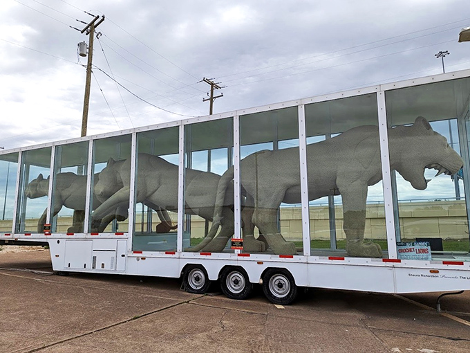 These lion sculptures aren't just big cats &ndash; they're big attractions. Displayed in a glass trailer, they're the kings of the road and the museum.
