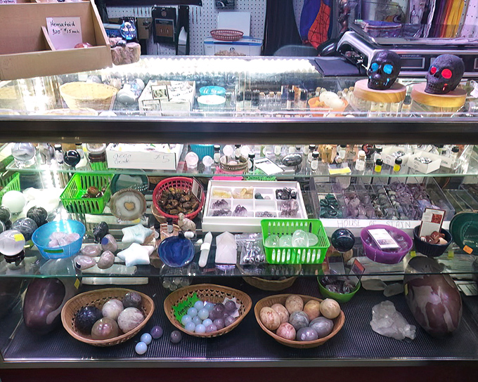 Nature's art gallery under glass. These polished stones and crystals once lived deep underground before finding new purpose as someone's pocket treasure.