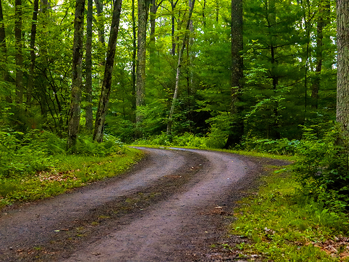 This winding dirt road doesn't need GPS &ndash; it knows exactly where it's taking you, and trust me, you'll want to go.