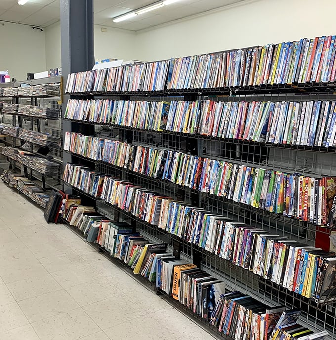 DVD shelves packed tighter than a Hollywood studio archive. Weekend movie marathons await for less than the cost of a streaming subscription.