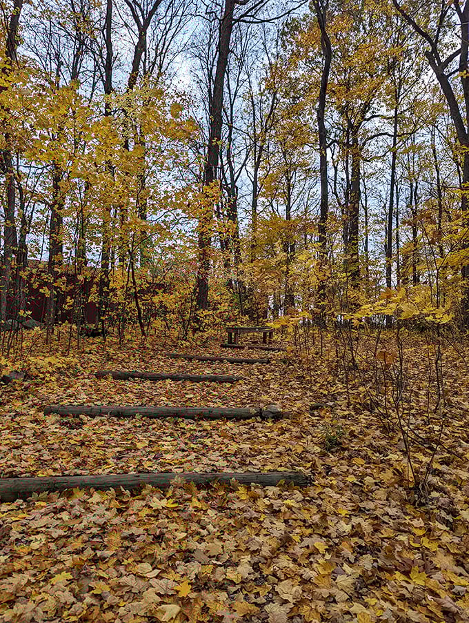 Fall hiking trails at DeVries Nature Conservancy crunch underfoot like nature's version of potato chips.