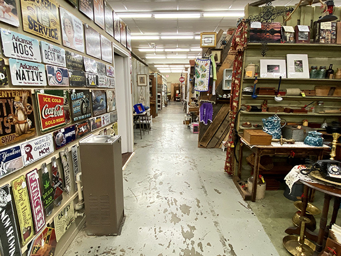 Vintage signs and collectibles line these aisles like a museum where everything's actually for sale and touchable.