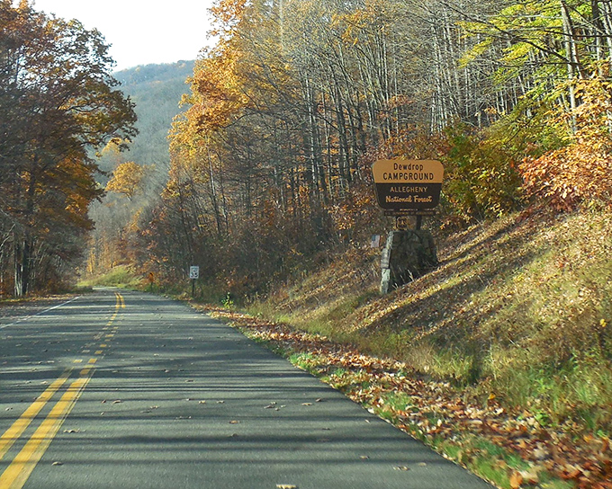 "Dewdrop Campground Next Exit" &ndash; your invitation to temporarily trade Wi-Fi for wildlife and spreadsheets for spectacular views.