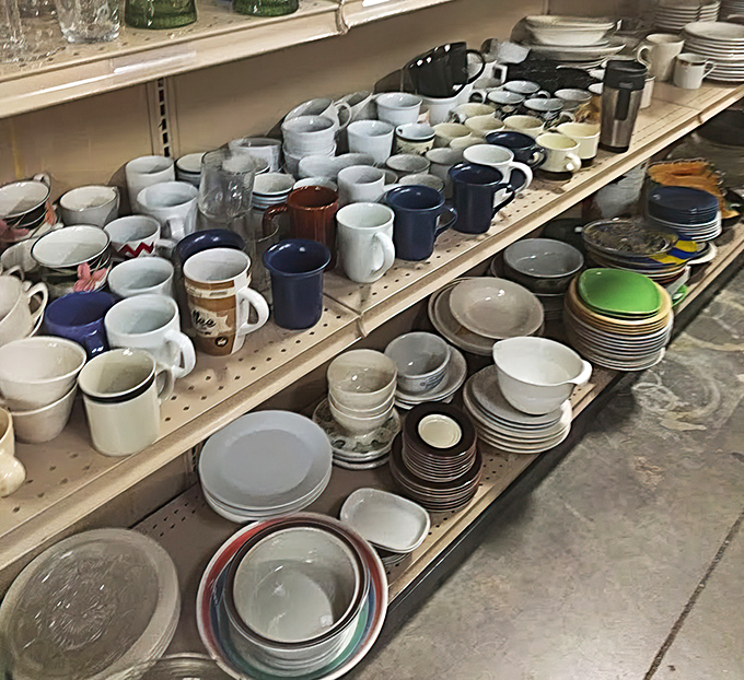 Mug collectors, brace yourselves! This dishware section could furnish a small restaurant or your extremely ambitious dinner party plans.