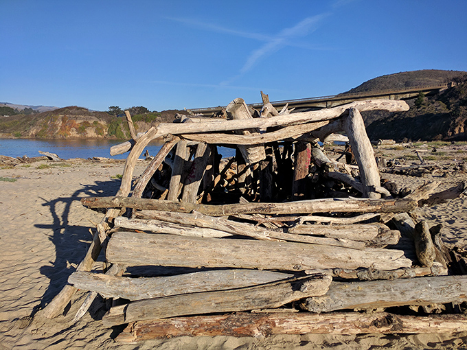 Beachcomber architecture at its finest—driftwood shelters spring up like California's answer to Polynesian huts, no contractor required.