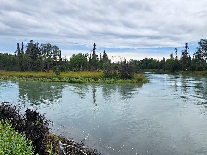 The Kenai River flows with purpose, its glacial waters carrying stories from the mountains to the sea. Fish included, no extra charge.