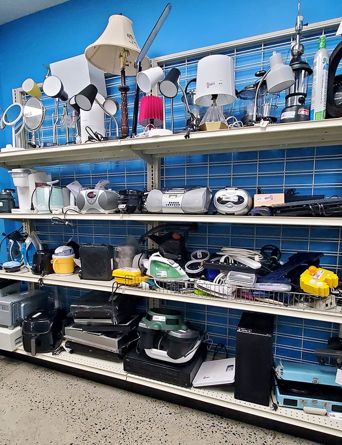 The electronics section: where brave souls gamble on appliances with the same thrill as Vegas slot machines, but with better odds.