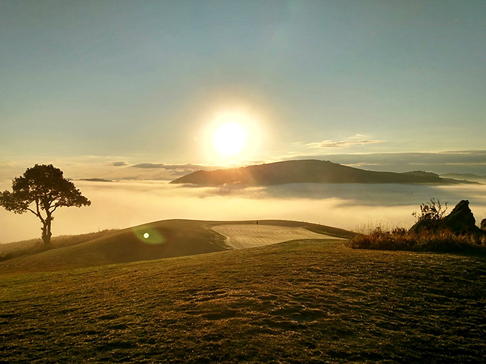 Morning fog transforms Elkhorn Ridge into a golfer's dreamscape. Even a triple-bogey feels poetic when played in clouds.