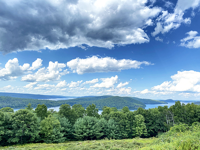 Enfield Lookout delivers million-dollar views without the admission price. The kind of panorama that makes smartphone cameras feel wholly inadequate.