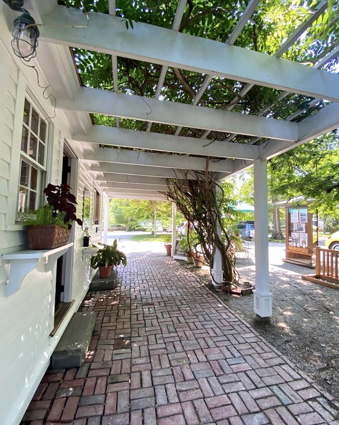 A pergola casting shadows like nature's own sundial &ndash; the perfect spot for contemplating life's mysteries.