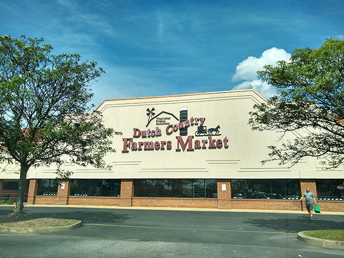Dutch Country Farmers Market: where your grocery budget stretches further than you thought possible. The Amish know a thing or two about sustainable living before it was trendy.