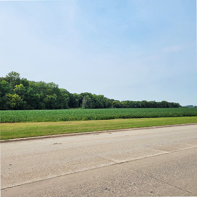 Where farmland meets sky, Cavalier's agricultural roots stretch toward the horizon, creating North Dakota's version of an ocean view.