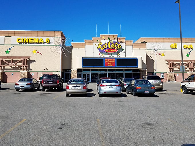 Fat Cats entertainment center offers affordable movie nights and family fun without the big-city price tag or parking nightmares.