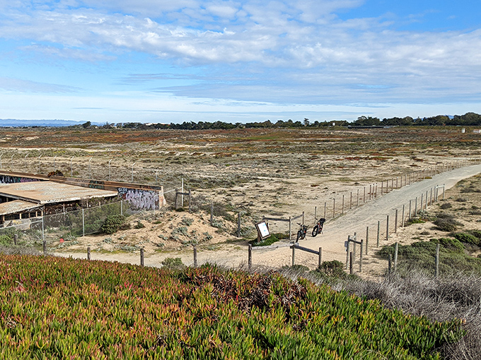The path less traveled often leads to the best views. This fenced trail guides visitors through fragile dune ecosystems without a tour guide or admission fee.