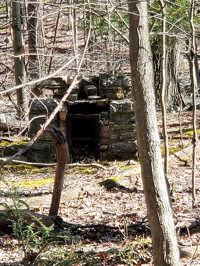 History whispers from these stones&mdash;a fireplace remnant from earlier times when travelers sought warmth in these woods.