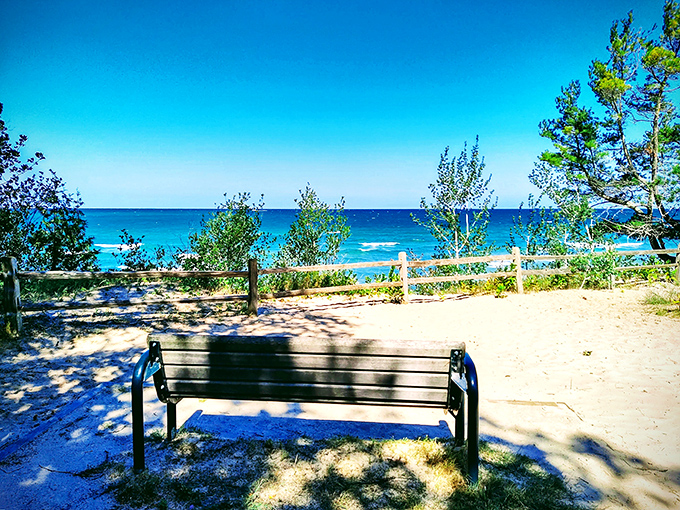 A bench with the best view in town. Some people pay thousands for therapy; Michiganders just sit here for 20 minutes.