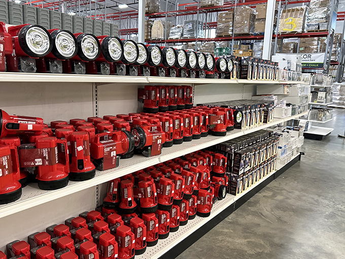 Like a candy store for DIYers, these shelves of flashlights and tools promise weekend projects without breaking the bank.