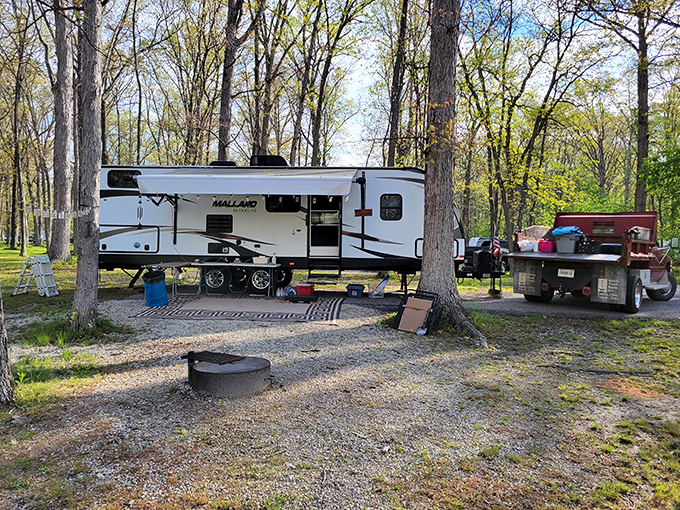 Camping nirvana: where your temporary home sits among trees that have been standing since your grandparents were dating.