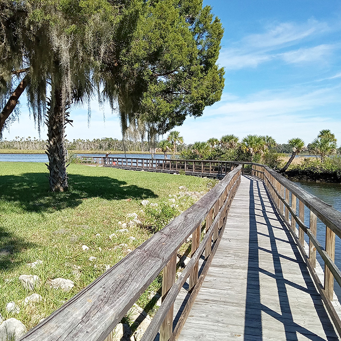 Fort Island Trail's boardwalk invites you to wander through Florida's natural splendor, where Spanish moss drapes the scene like nature's own interior decorator.