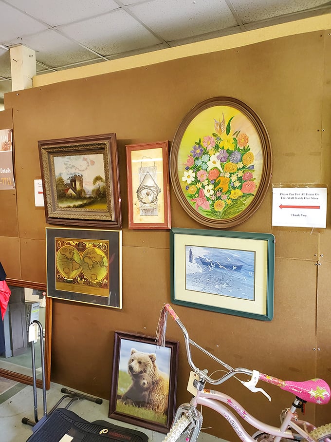 Wall art waiting for its forever home &ndash; from pastoral scenes to wildlife portraits, each frame holds a story ready to grace someone's living room.