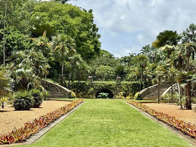 The amphitheater's symmetrical splendor feels like nature's version of a red carpet, inviting you to stroll between palm sentinels toward adventure.
