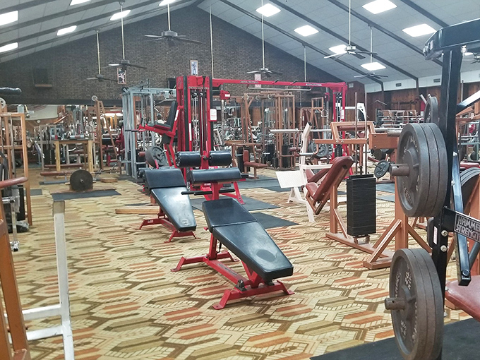 Genesis Fitness Center proves retirement doesn't mean retiring your muscles. The average age here is "young at heart" and the vibe is "use it or lose it."