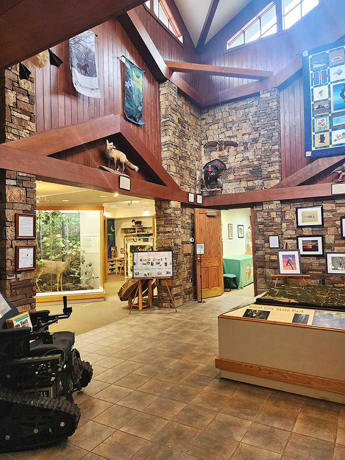 Inside Giant City's visitor center, the soaring ceilings and stone walls echo the natural grandeur waiting just outside its doors.