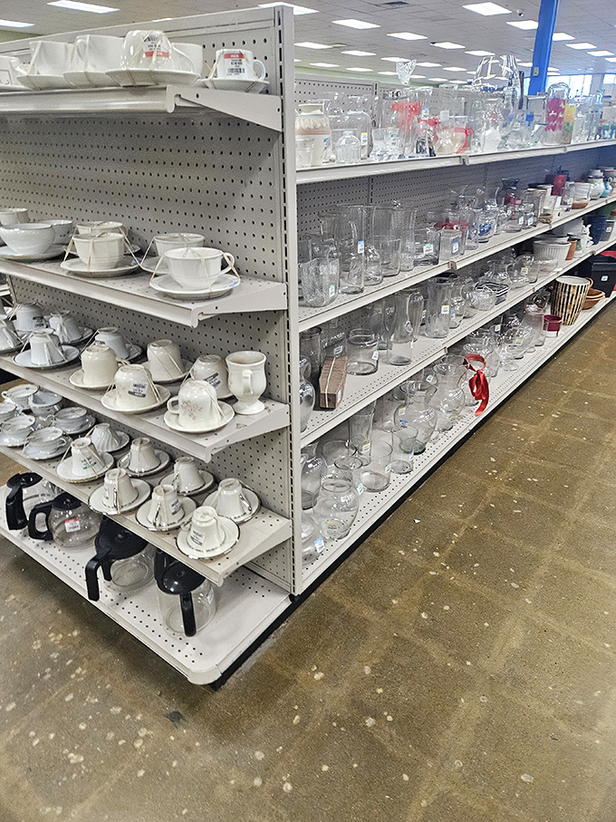 Teacups and tumblers stand in formation like delicate soldiers awaiting deployment to new homes. Each piece carries the patina of previous gatherings.