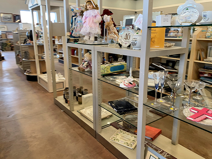 Glassware and trinkets displayed with surprising elegance for a place where nothing costs more than lunch.