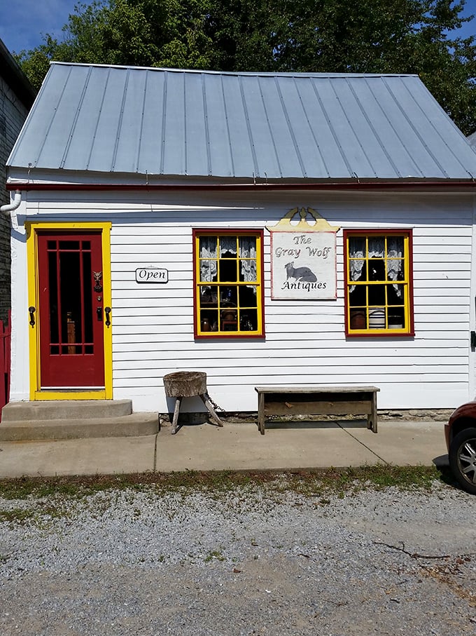 The Gray Wolf Antiques shop proves that treasures don't hide in fancy boutiques&mdash;they're waiting in cheerful little buildings with character to spare.