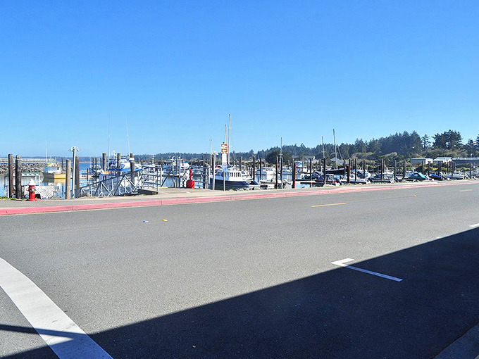 Bandon's working harbor combines postcard aesthetics with authentic maritime industry, where fishing boats return with catches destined for your dinner plate just hours later.
