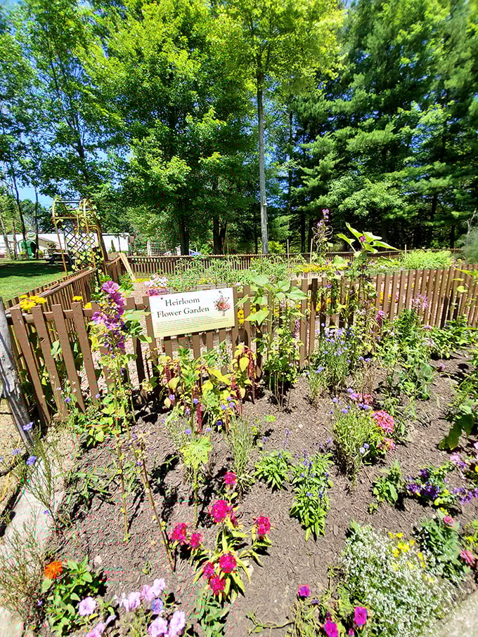 The Heirloom Flower Garden isn't just preserving plants&mdash;it's preserving stories. Each bloom here has outlasted fashion trends and smartphone models.