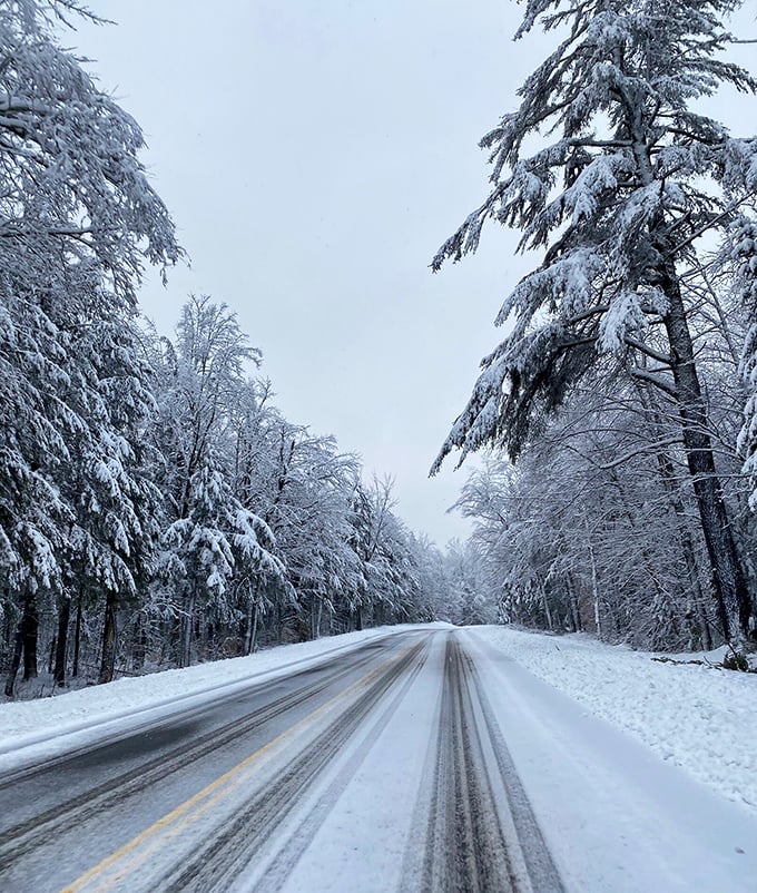 Winter transforms the Kanc into a hushed cathedral of snow, where tire tracks become the only evidence you're not the first explorer.