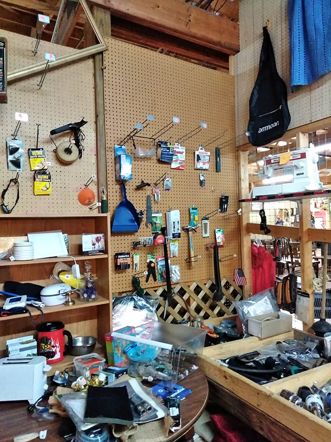 The pegboard paradise where every household problem finds its solution. If MacGyver had a shopping list, this would be his first stop.