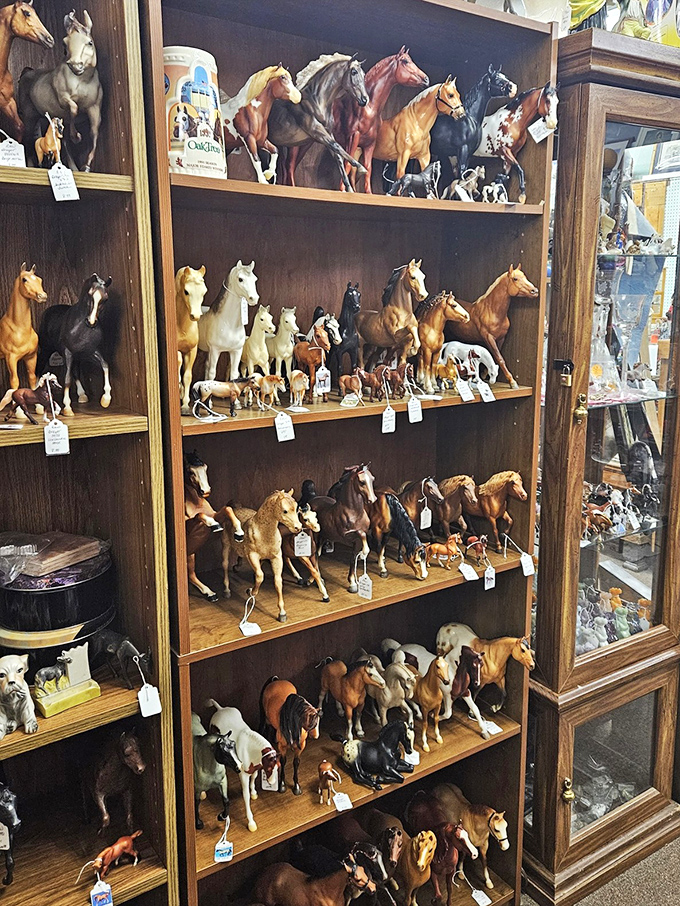 A cavalry of collectible horses stands at attention, ready to gallop into the hearts (and homes) of collectors and eight-year-olds alike.