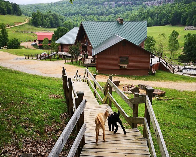 Autumn colors frame downtown streets where the pace is slower and your shoulders actually remember how to relax properly.