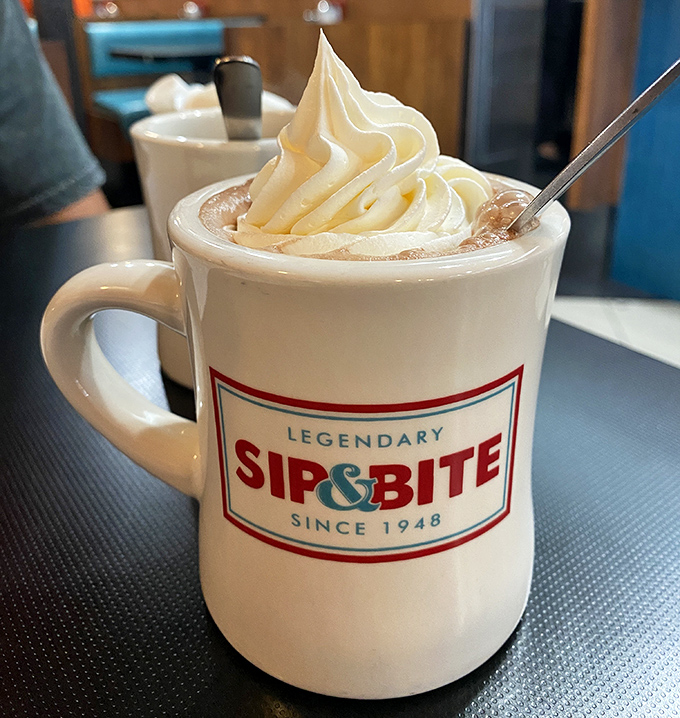 A mug of hot chocolate crowned with a swirl of whipped cream that makes you wonder why anyone ever grows up.