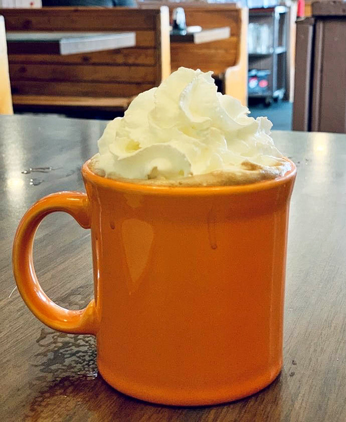 That's not just hot chocolate—it's a mountain-worthy mug of liquid comfort topped with a cloud of whipped cream that refuses to be modest.