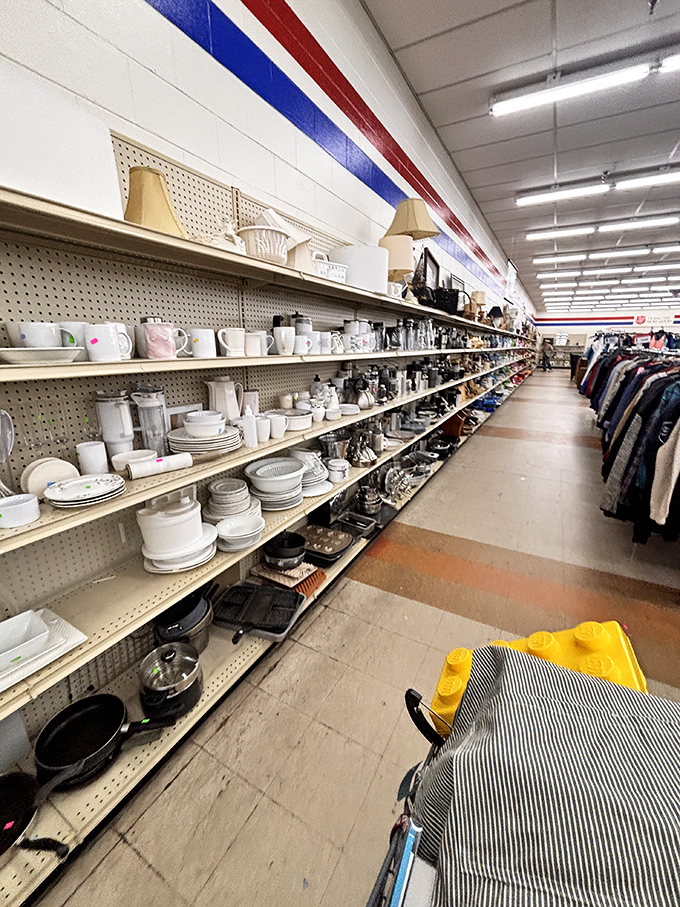 Those housewares aisles hold everything you need to stock a kitchen without requiring a second mortgage on your house.