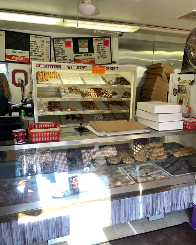 No fancy display cases needed when the product speaks for itself&mdash;just honest donuts waiting patiently for their moment to shine.