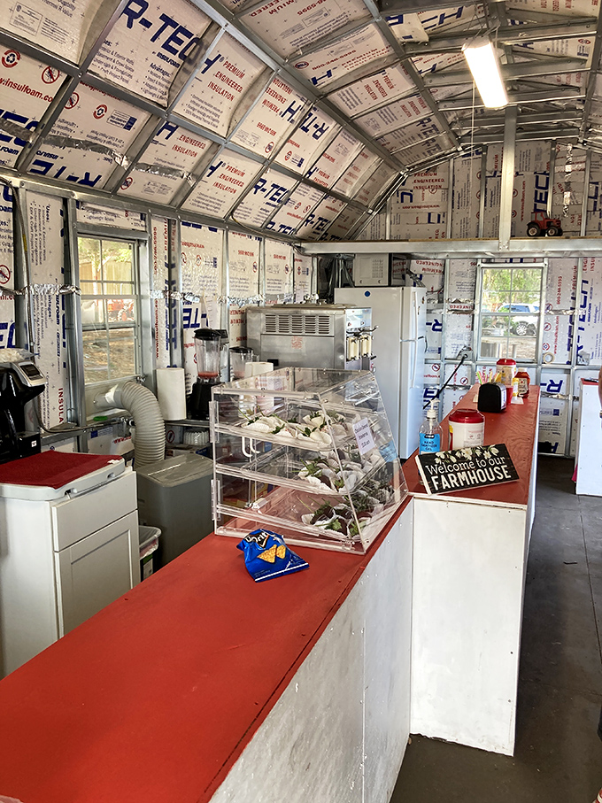 Inside this humble structure, berry magic happens – a no-frills operation where what matters isn't the decor but the treasures that fill those display cases.