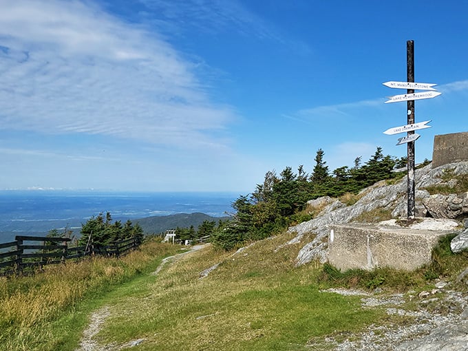 Mountaintop vistas reward hikers with breathtaking panoramas that stretch for miles, making every uphill step worthwhile.