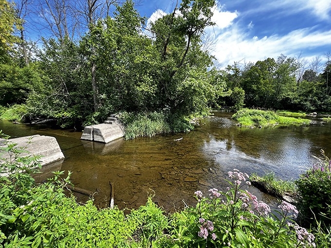 This tranquil stream in John E Butts Memorial Park offers a moment of zen. Nature's version of a spa day, minus the cucumber water and awkward robes.