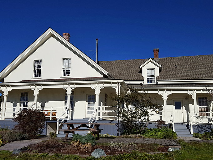 The Kelley House Museum offers a pristine glimpse into Mendocino's past, complete with a wrap-around porch perfect for contemplative rocking.
