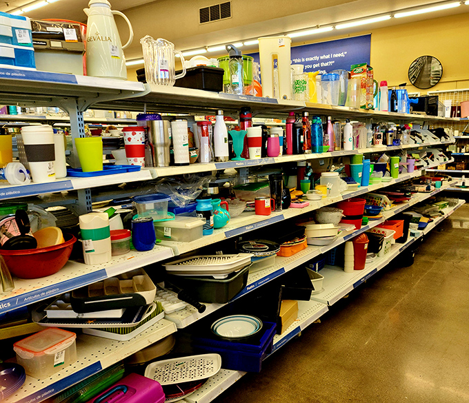 Kitchen gadget nirvana where forgotten utensils and colorful containers find new purpose. Someone's abandoned pasta maker is your Italian cuisine revolution.