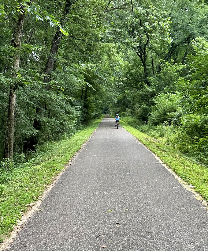 The Kokosing Gap Trail stretches 14 miles of paved serenity, perfect for biking, walking, or escaping your daily responsibilities temporarily.