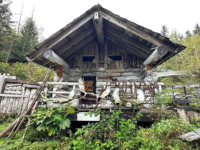 This rustic cabin looks like it was built by Paul Bunyan's more artistic cousin &ndash; part wilderness survival, part Alaskan folk art.