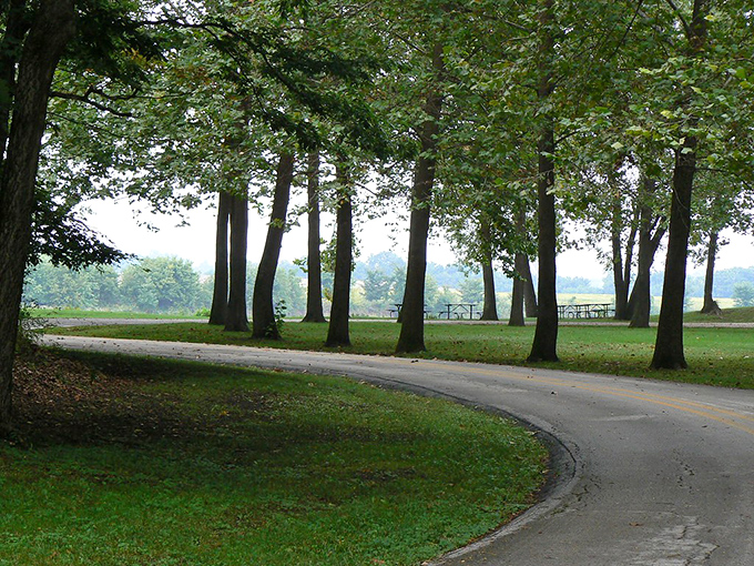 Lacey-Keosauqua State Park's winding roads promise adventure without requiring a passport or expensive gear. Nature's theme park awaits.